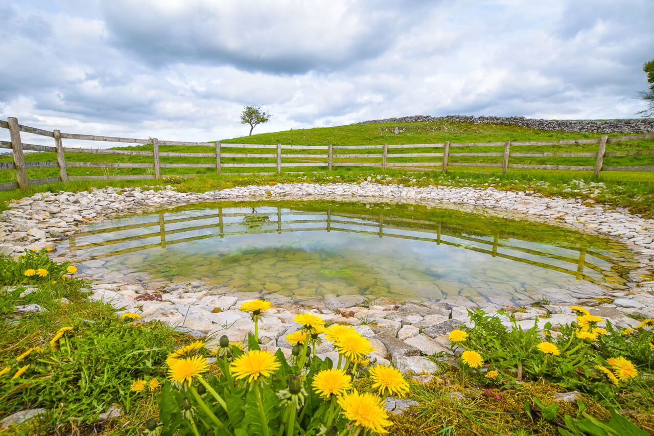Chee Dale Stepping Stones Walk in the Peak District - Becky the Traveller