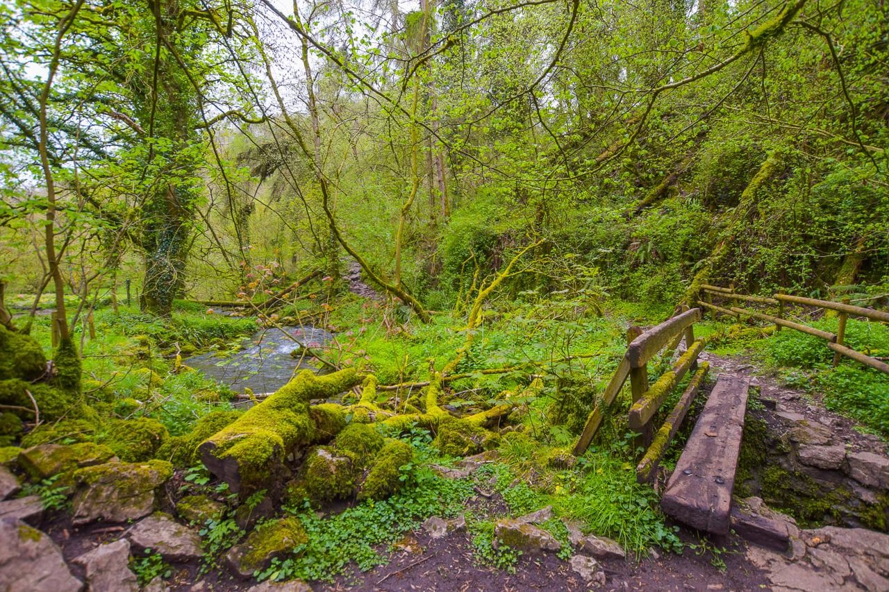 Chee Dale Stepping Stones Walk in the Peak District - Becky the Traveller