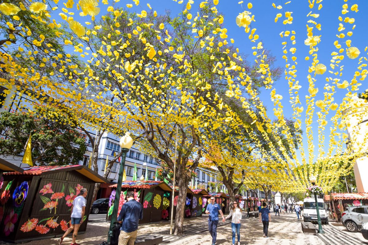 10 Fun Things to do in Madeira on a SHORT Break - Becky the Traveller