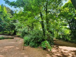 Walks in Nottingham | Bramcote Hills Park, Nottingham Canal + Erewash ...